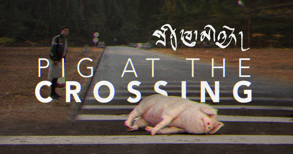 Tale of the Pig at the Crossing: Lesson in Determination & Strategy ...