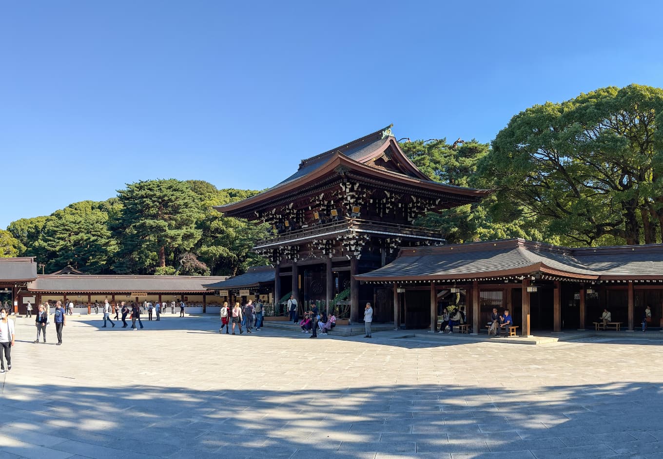 Meiji Shrine: A Serene Sanctuary in the Heart of Tokyo - Lettersforvivian